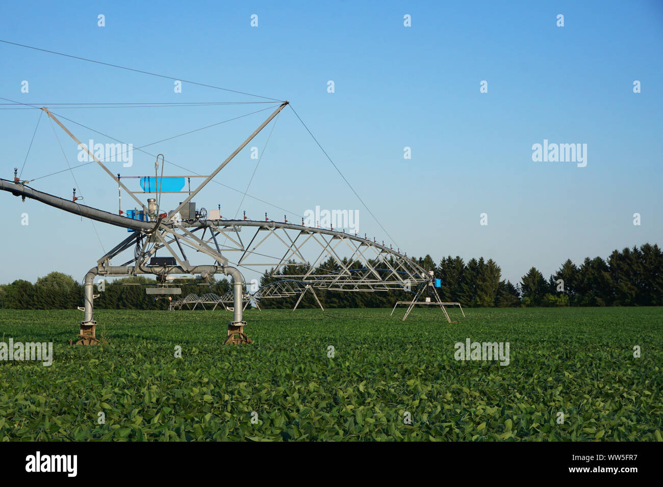 Green soybean crops in field hi-res stock photography and images - Alamy