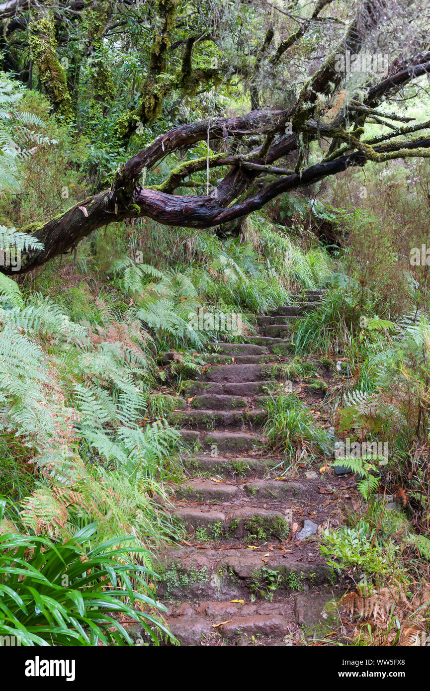 Steep Pathway Pathways High Resolution Stock Photography and Images - Alamy