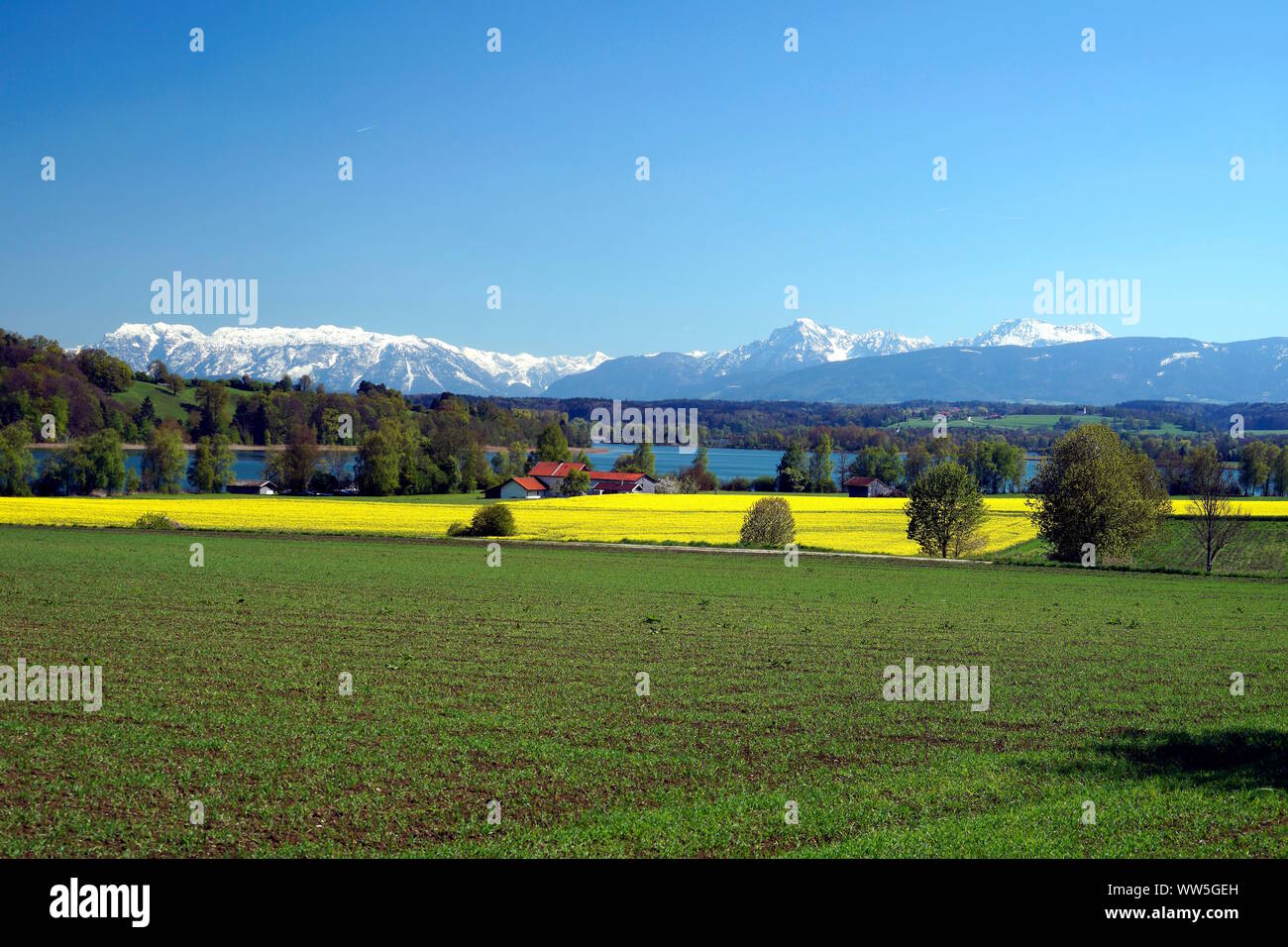 Europe, Germany, Bavaria, district Traunstein, view to the Alps, spring ...