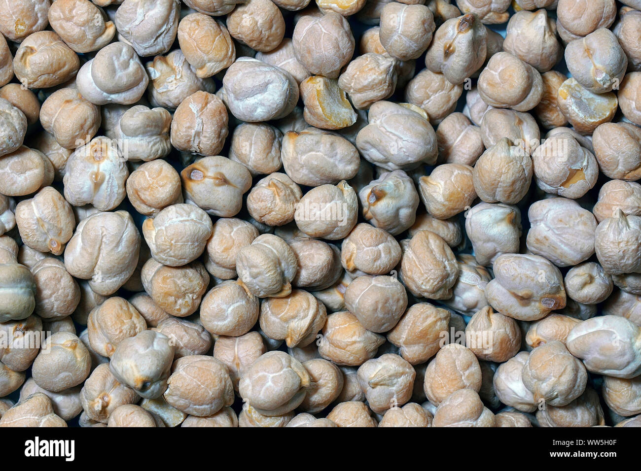 Pulses colour hi-res stock photography and images - Alamy