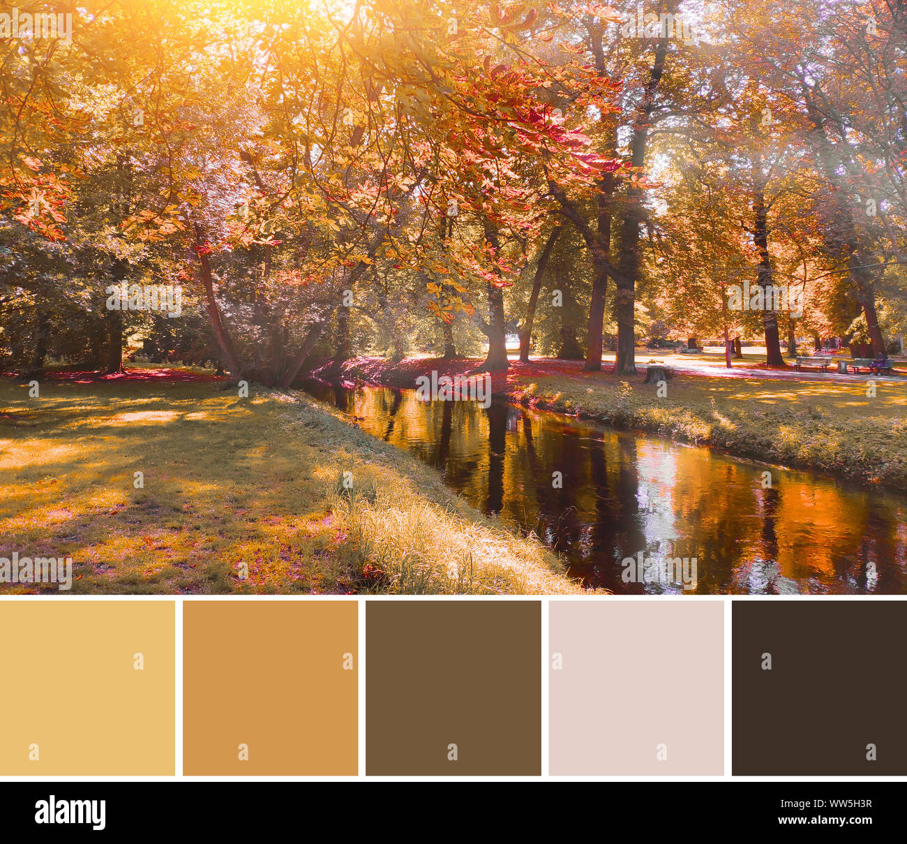 Color matching palette from Autumn landscape. Beatiful park with ...