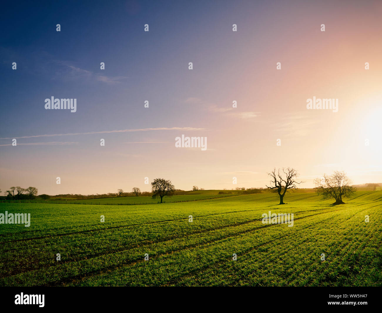 Red, Orange and yellow glow of a sunset over green pastures and trees ...