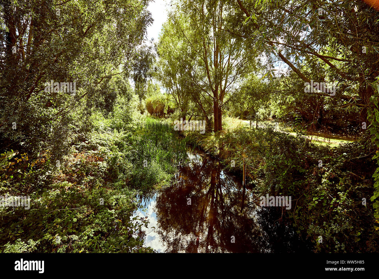 British airways waterside london hi-res stock photography and images ...