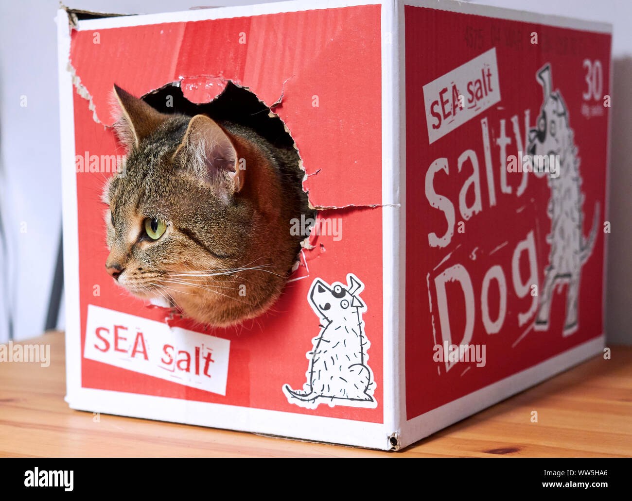 Funny empty box hi-res stock photography and images - Alamy