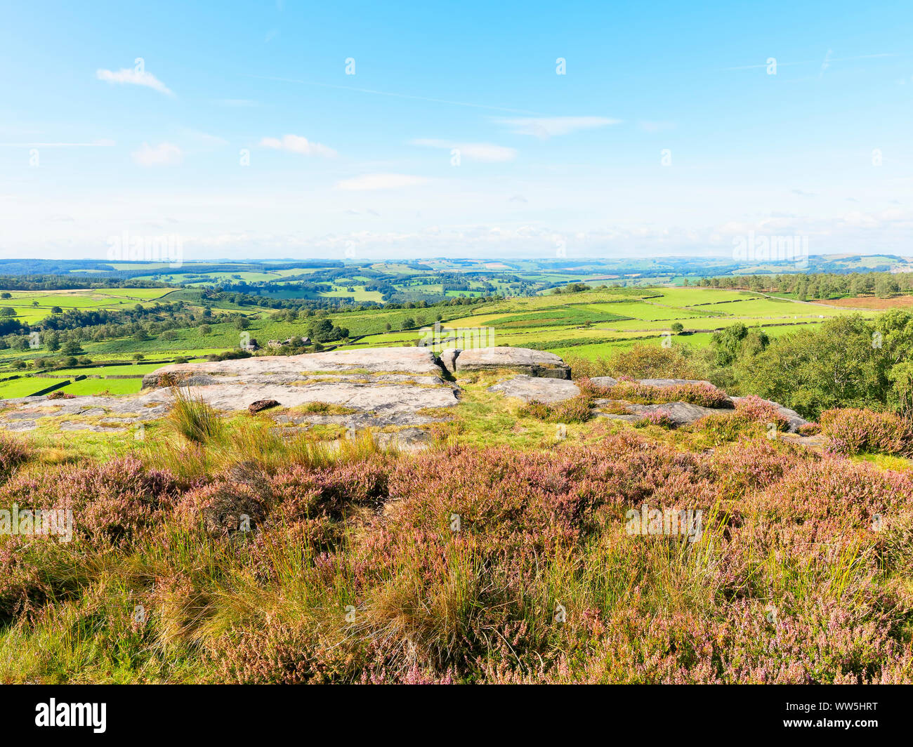 On trop of Birchen Edge, out over the heather and gritstone to the open ...