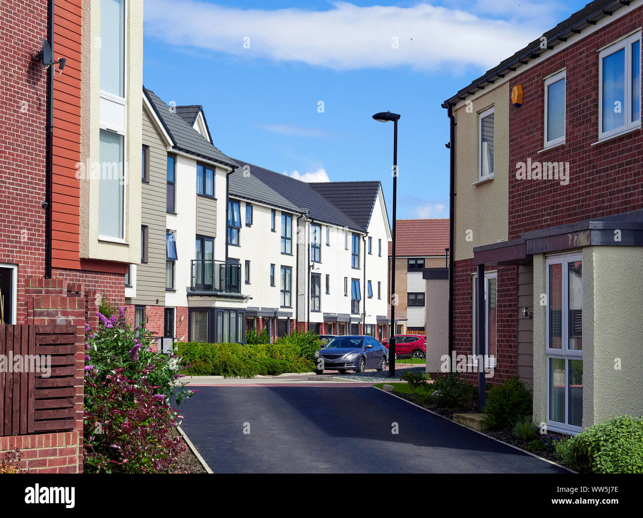 Newly built homes in a residential estate in England Stock Photo - Alamy