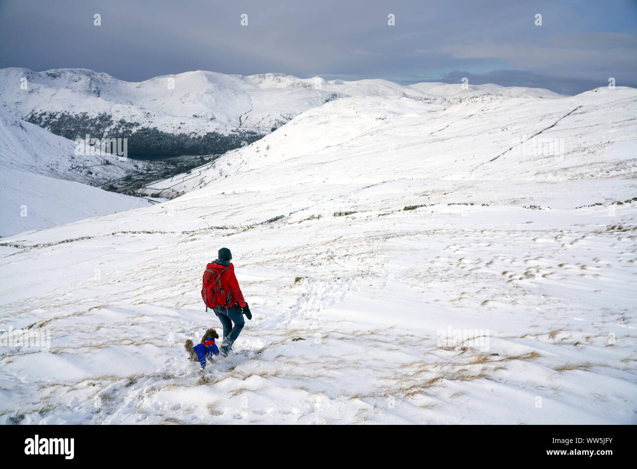 A hiker and their dog walking down from The Knott towards Hayeswater ...