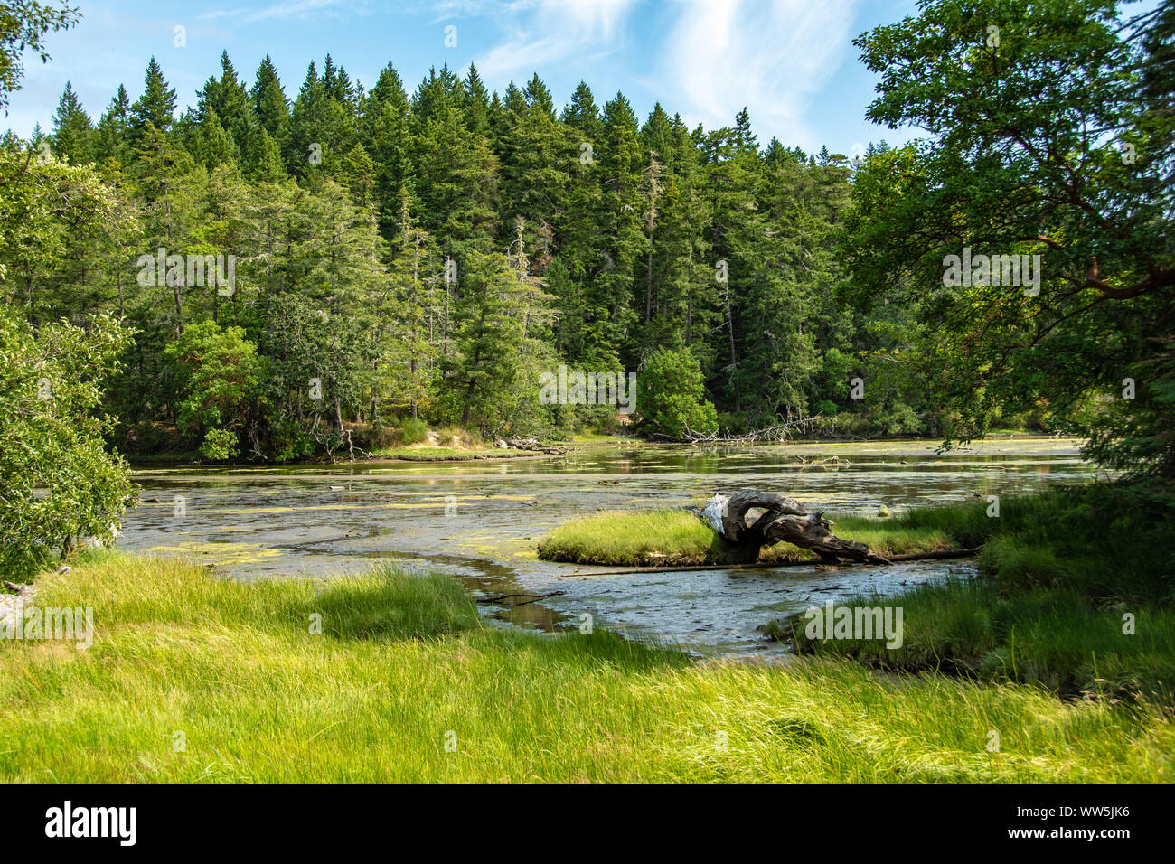 Canada coastal landscape hi-res stock photography and images - Alamy
