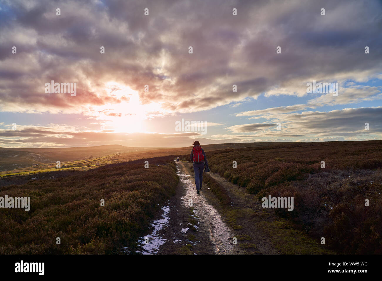 Walking straight hi-res stock photography and images - Alamy