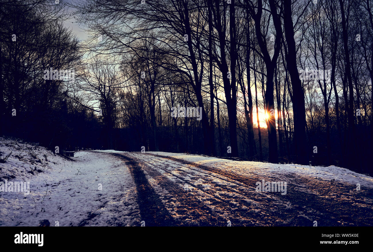 Winter dawn dark snow tree hi-res stock photography and images - Alamy