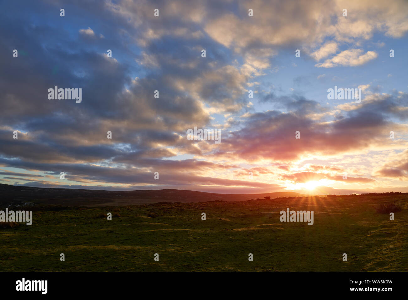 Sunset and dramatic sky over farmland with a distant cow silhouetted ...