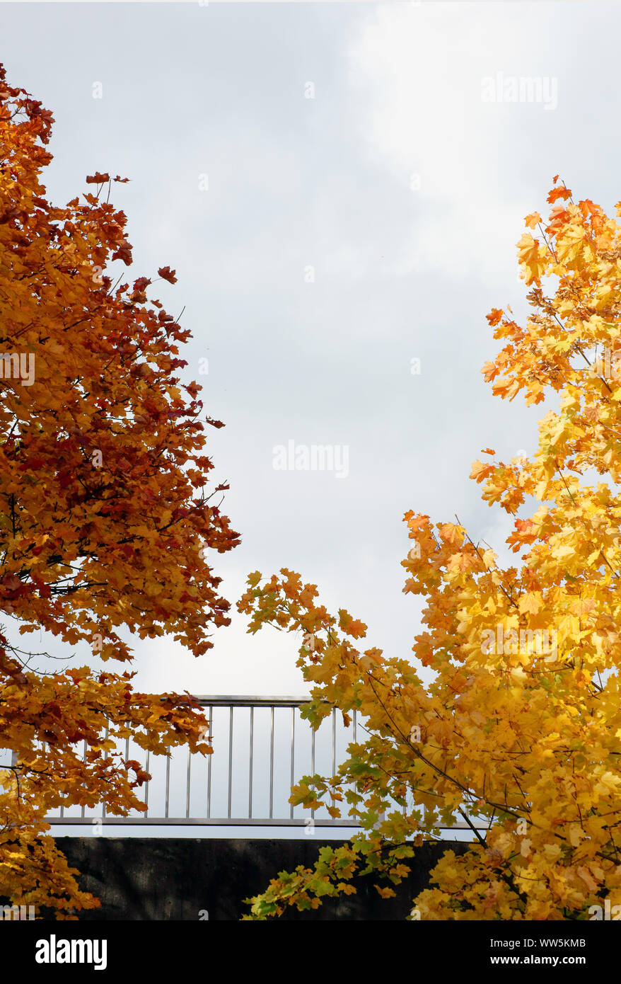 Photography of a bridge framed by autumn leaves hi-res stock ...