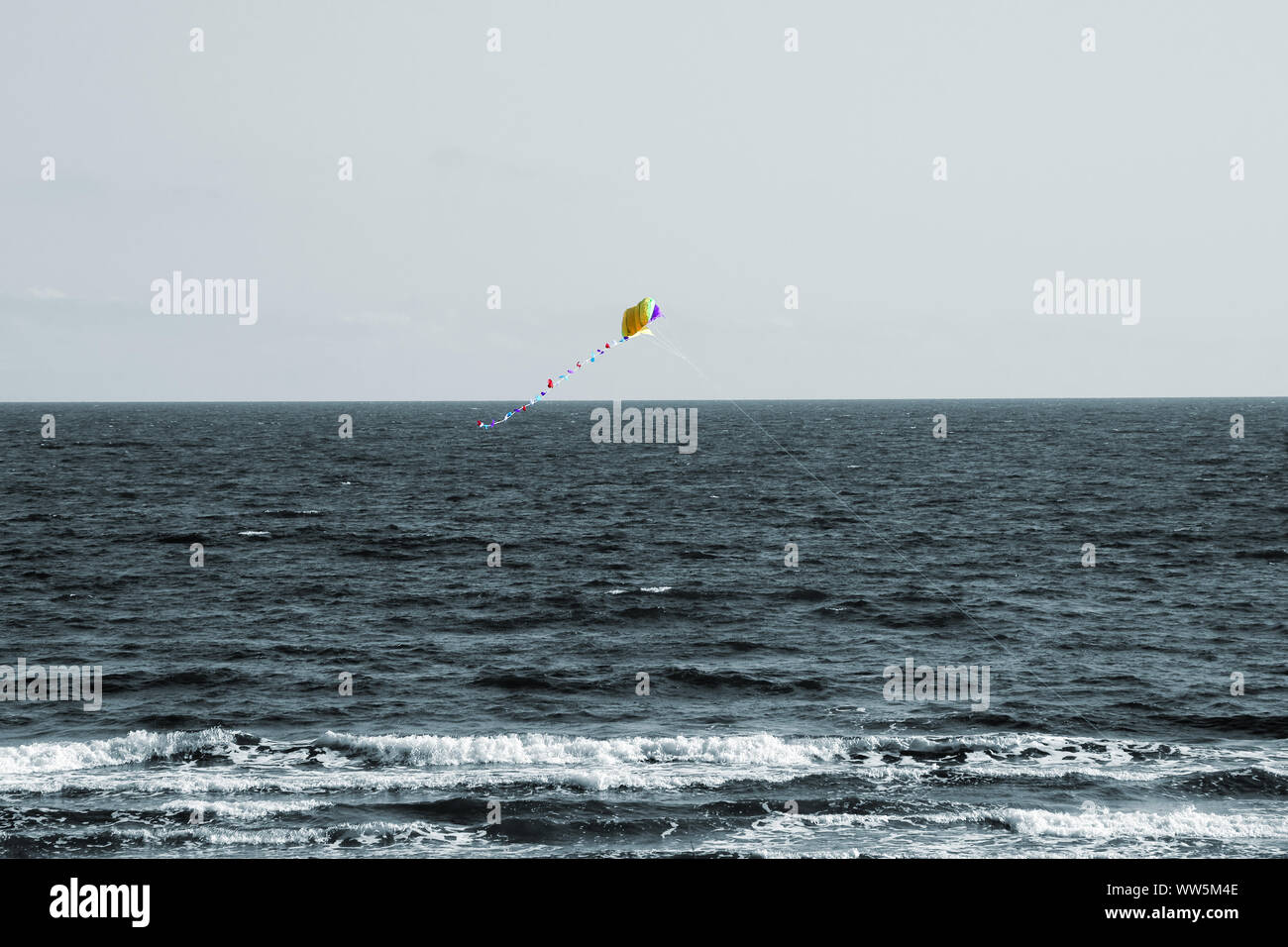 Photography of a flying kite in the wind, sea in the background Stock ...