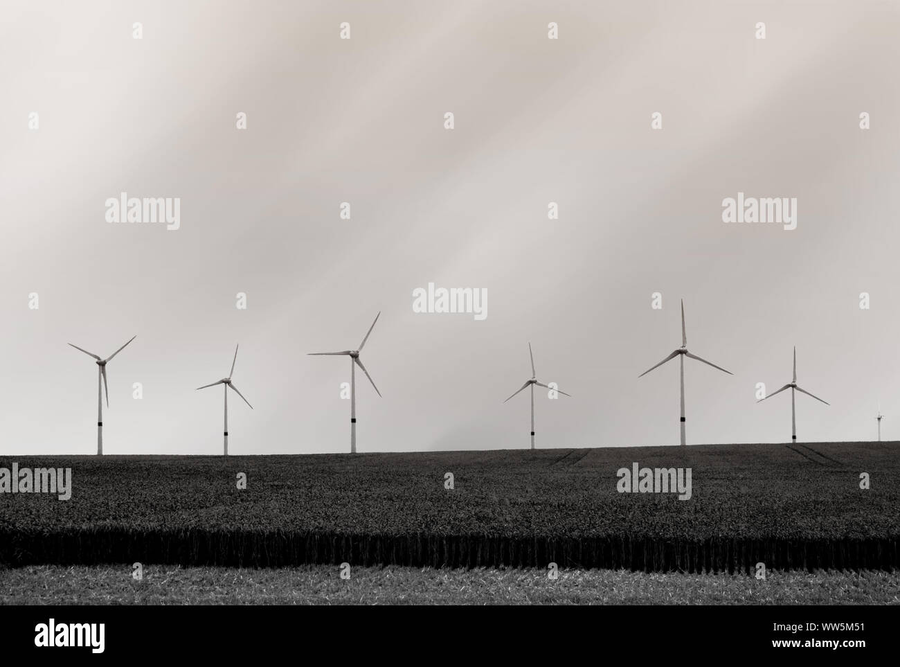 Photography of wind turbines behind a grain field hi-res stock ...