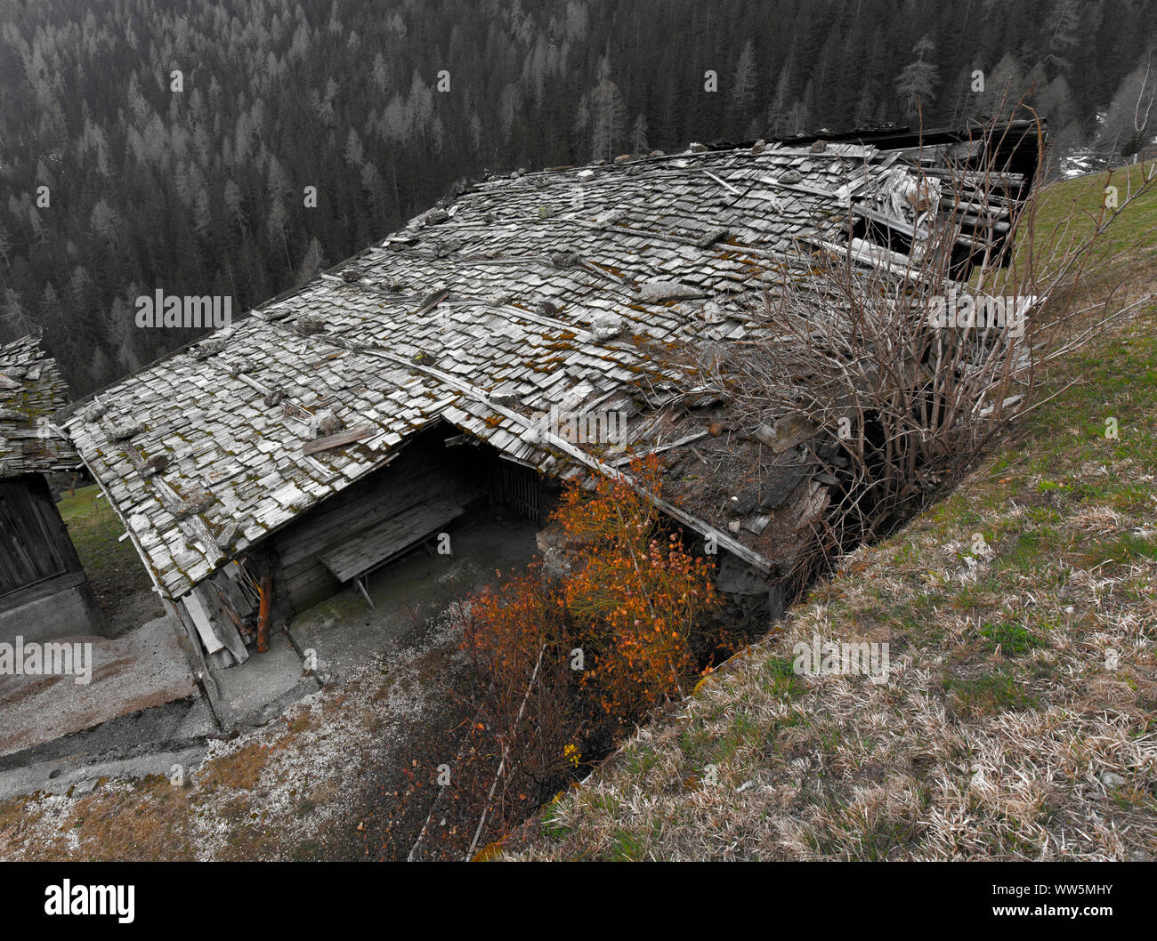 decayed shingle roof at the mountain farm Stock Photo - Alamy