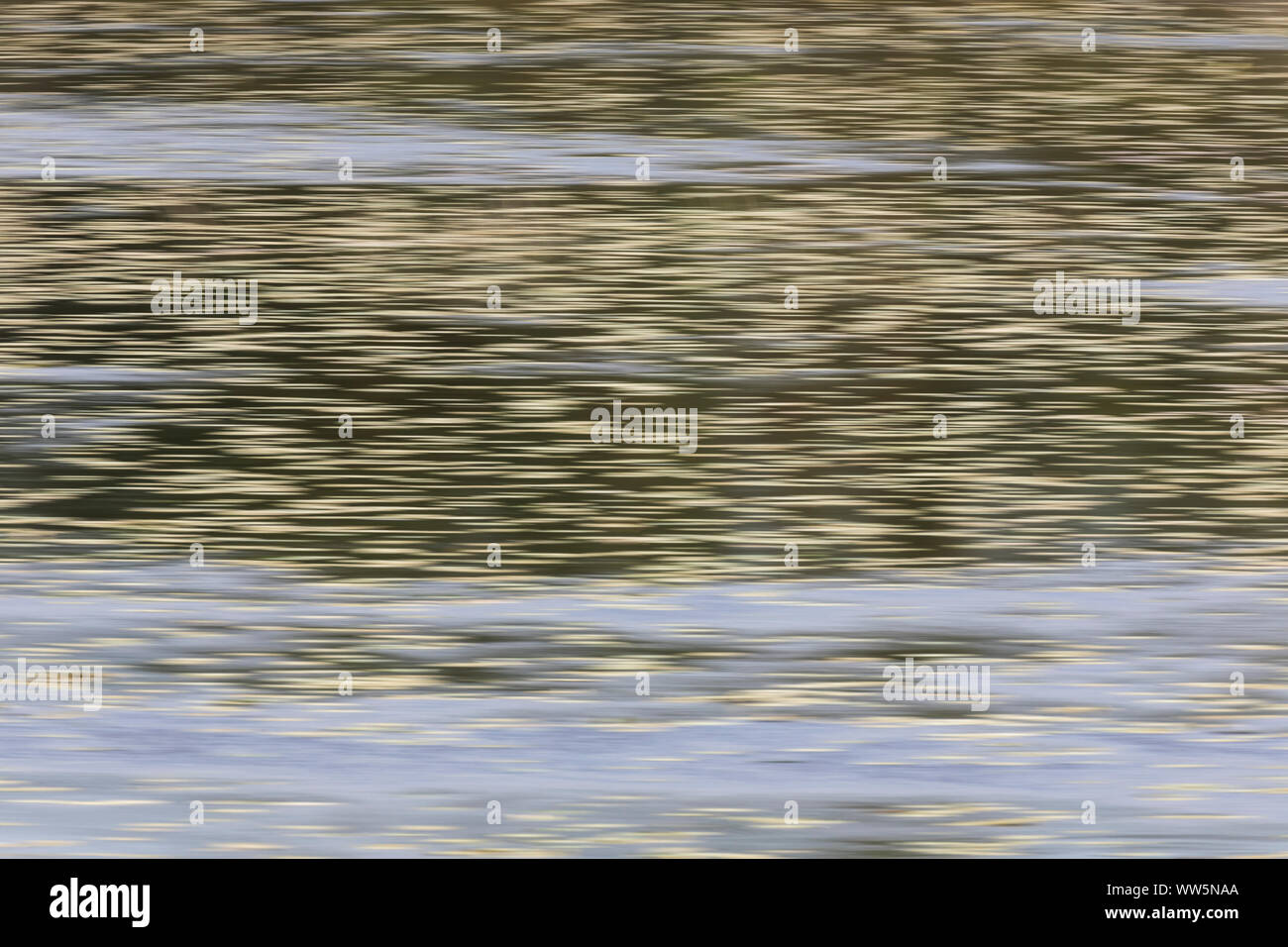 Water surface, structure with water lily leaves Stock Photo - Alamy