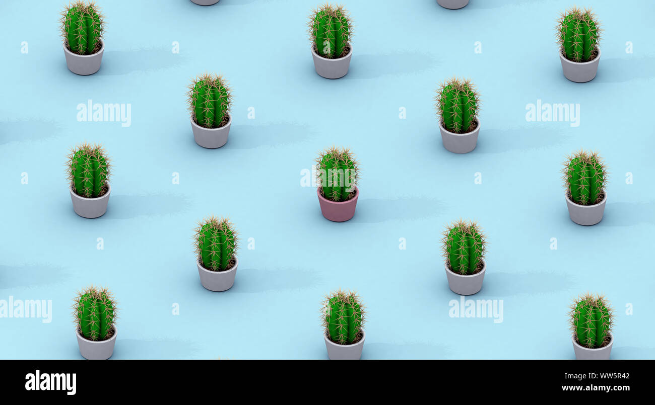 Cactus with flowerpot grid 3d rendering Stock Photo - Alamy