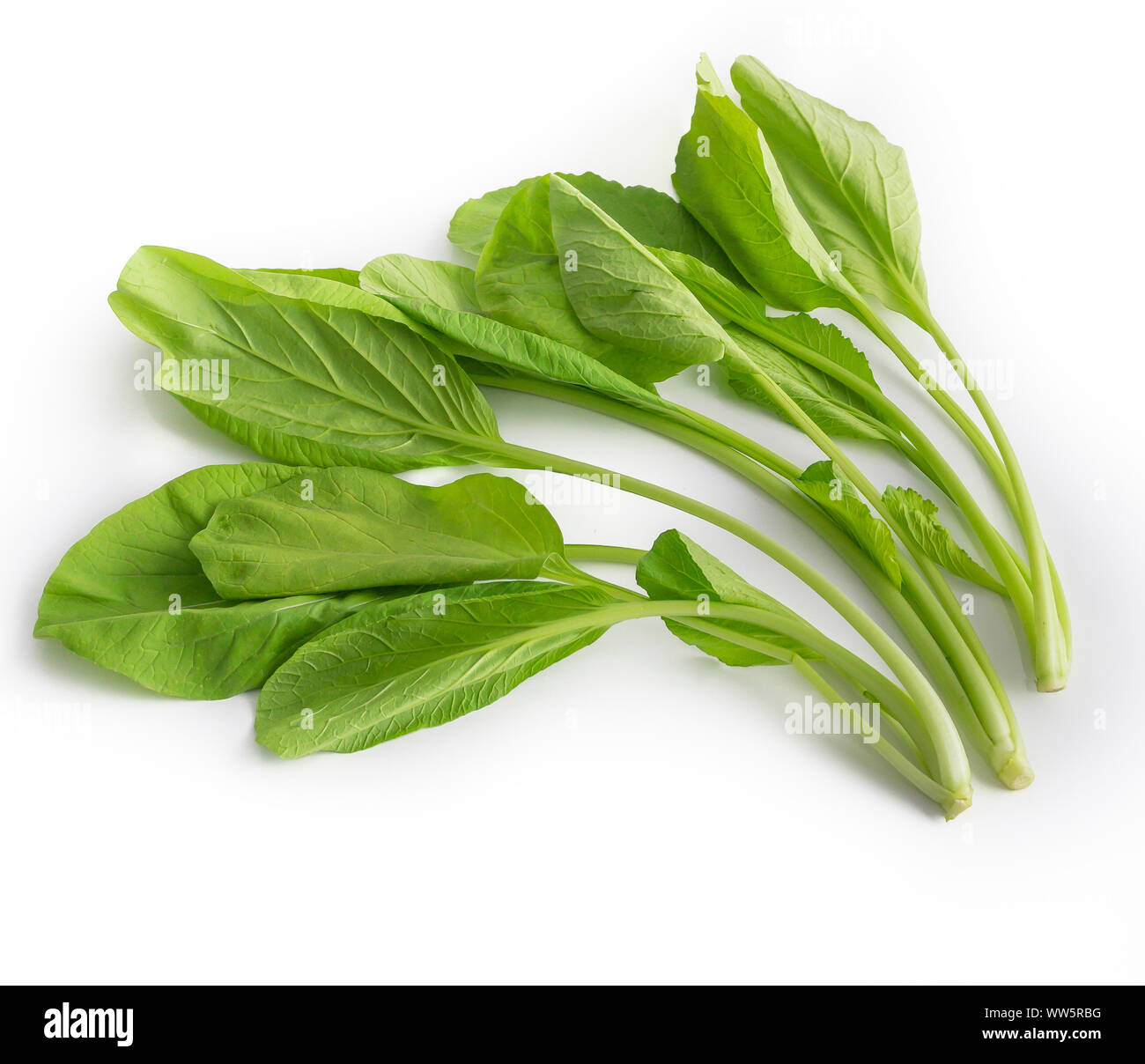 flatlays mustard greens or caisim vegetable Stock Photo - Alamy