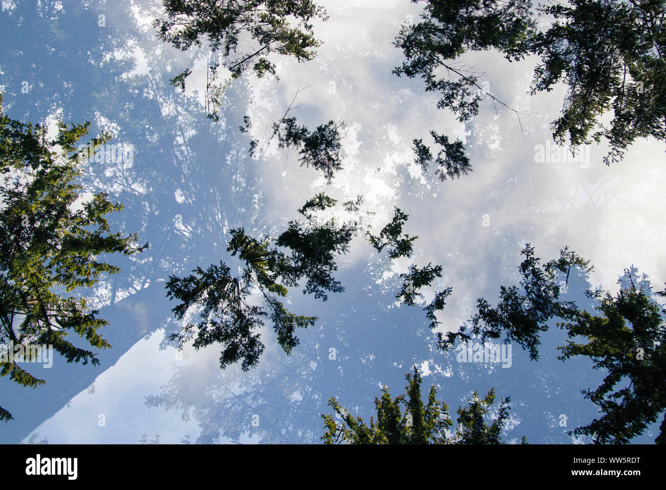 Even exposure hi-res stock photography and images - Alamy