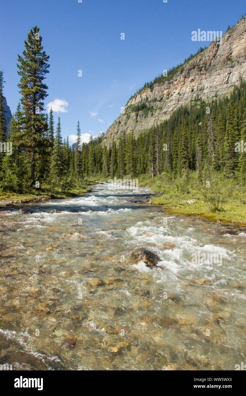 A mountain brook winding through the Rocky Mountains, green forests ...
