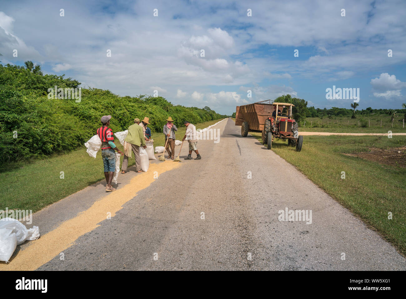 Workers sweeping rice laid out on the street to dry Stock Photo - Alamy