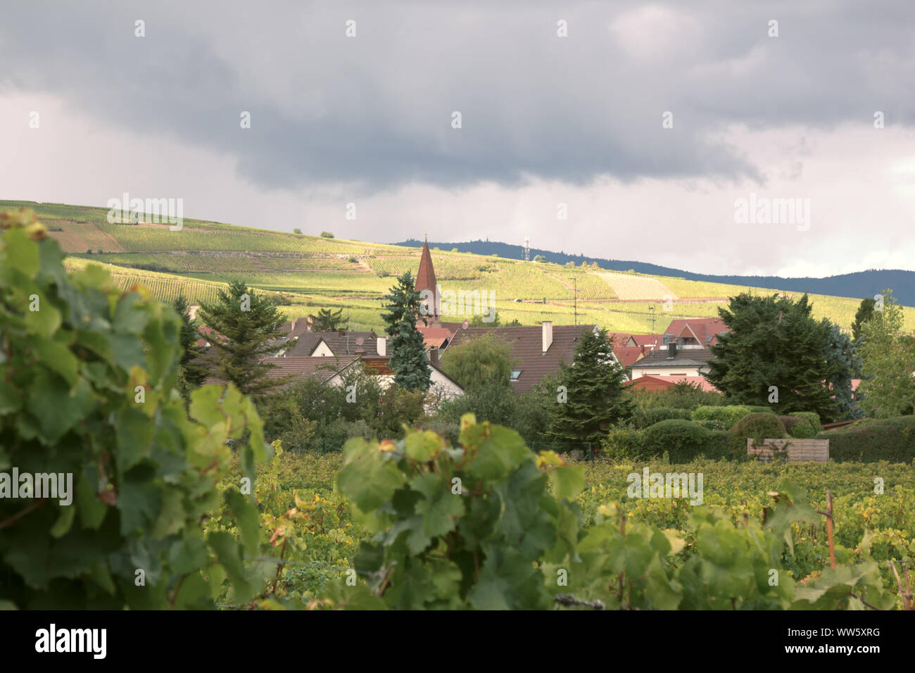 The vineyards and villages in Dijon, France Stock Photo - Alamy