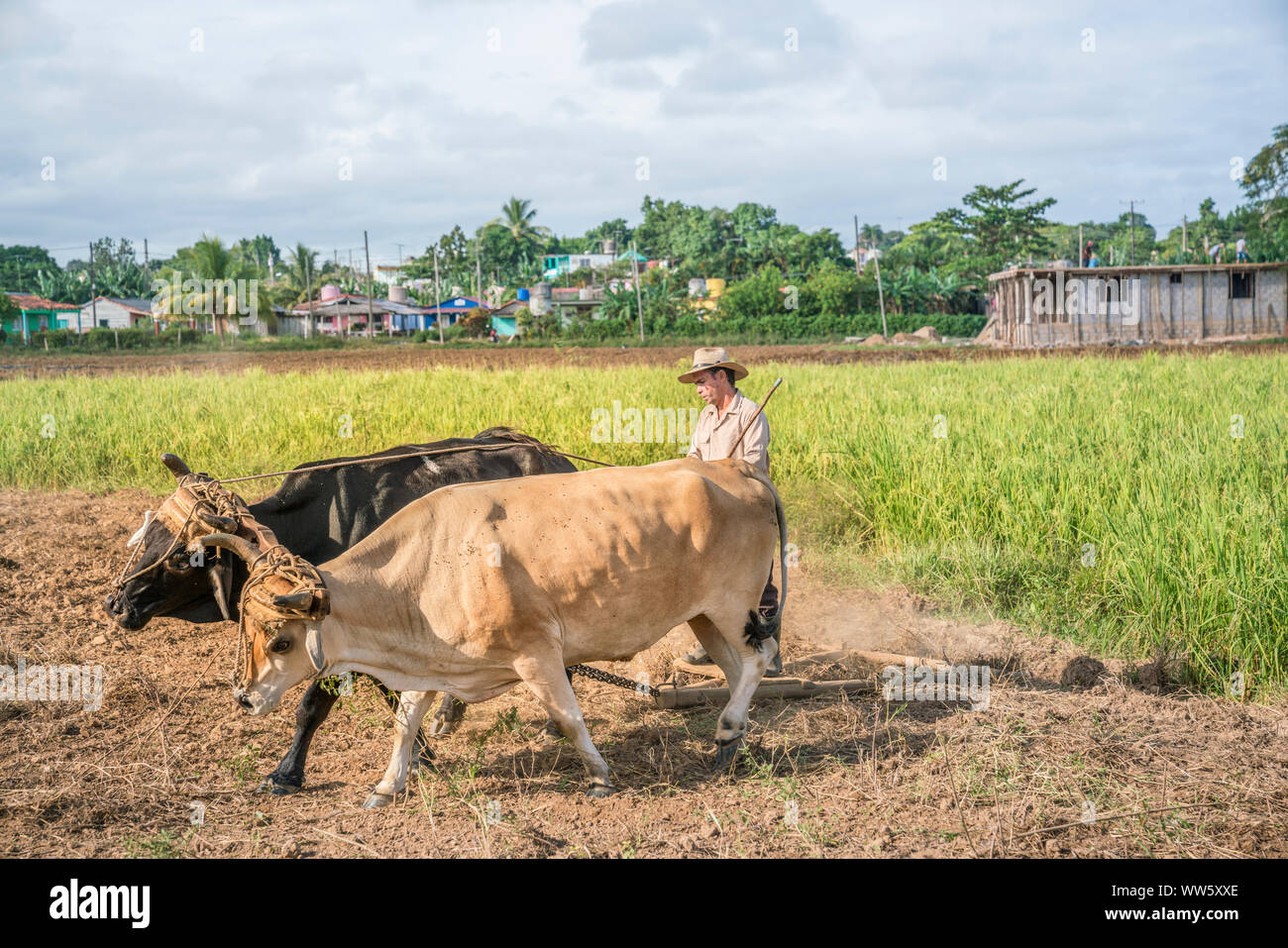 Man ploughing field hi-res stock photography and images - Alamy