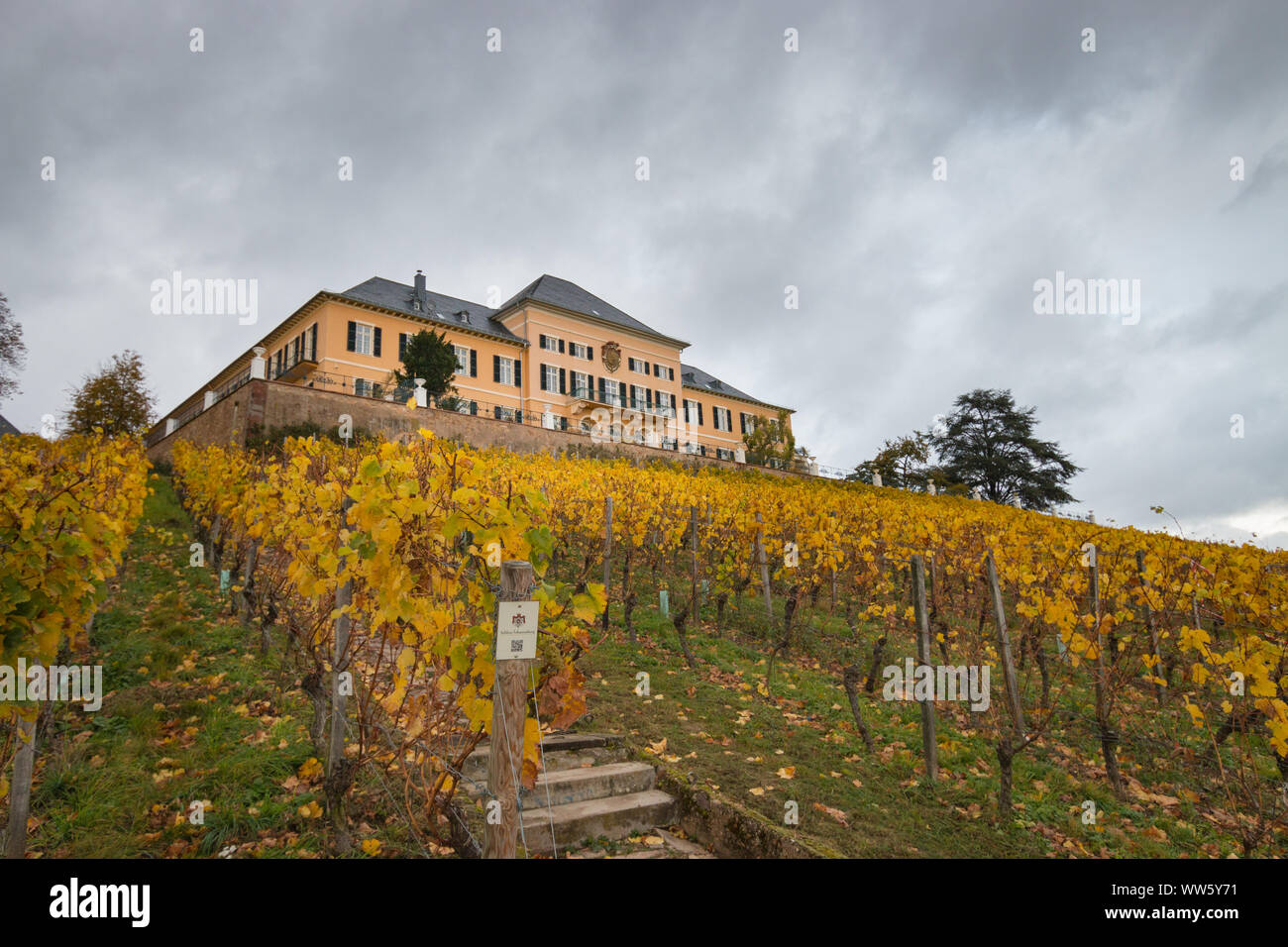 Schloss johannisberg castle hi-res stock photography and images - Alamy