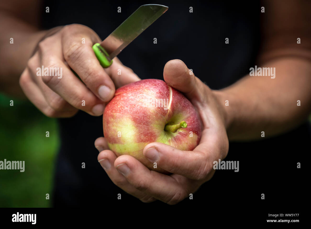 cutting apple with knife Stock Photo - Alamy