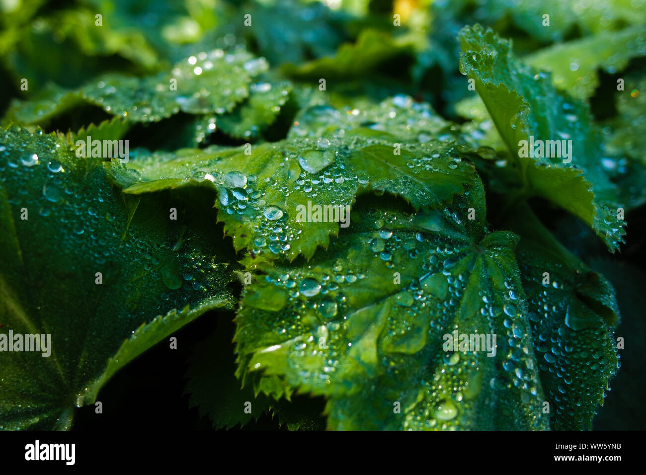 Sparkling sun on water hi-res stock photography and images - Alamy