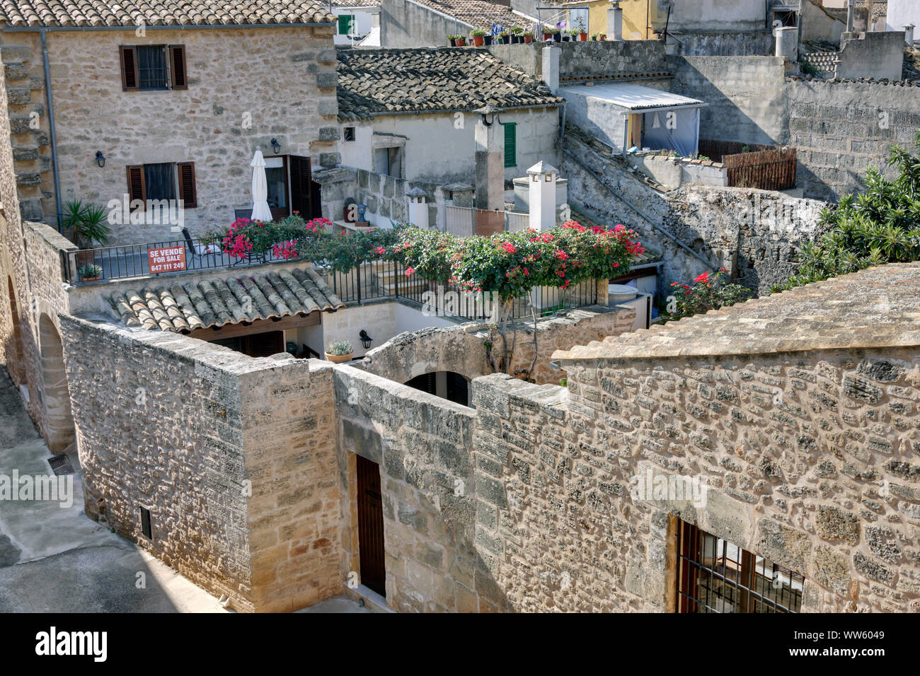 Alca dia hi-res stock photography and images - Alamy