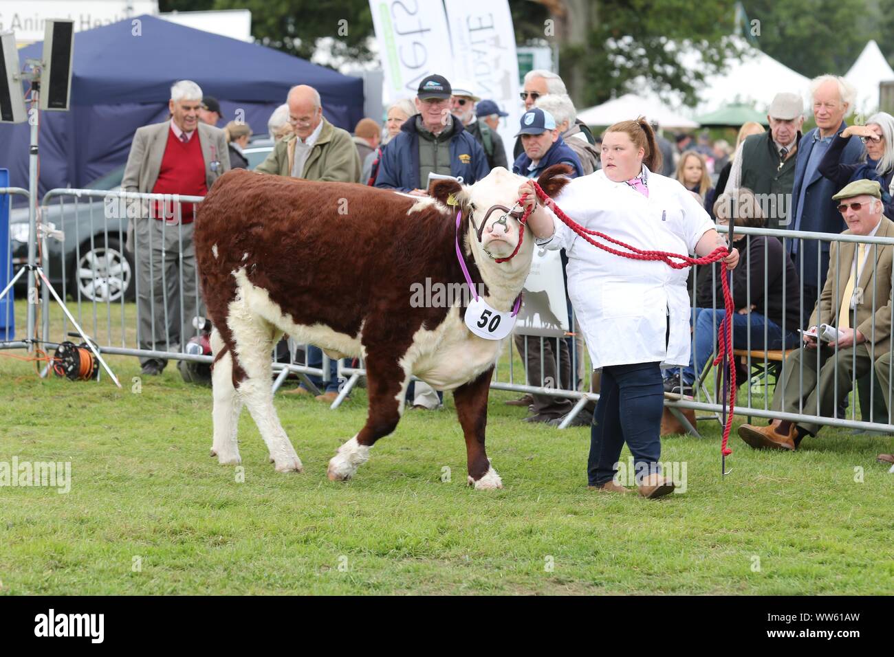 Moreton country show hi-res stock photography and images - Alamy