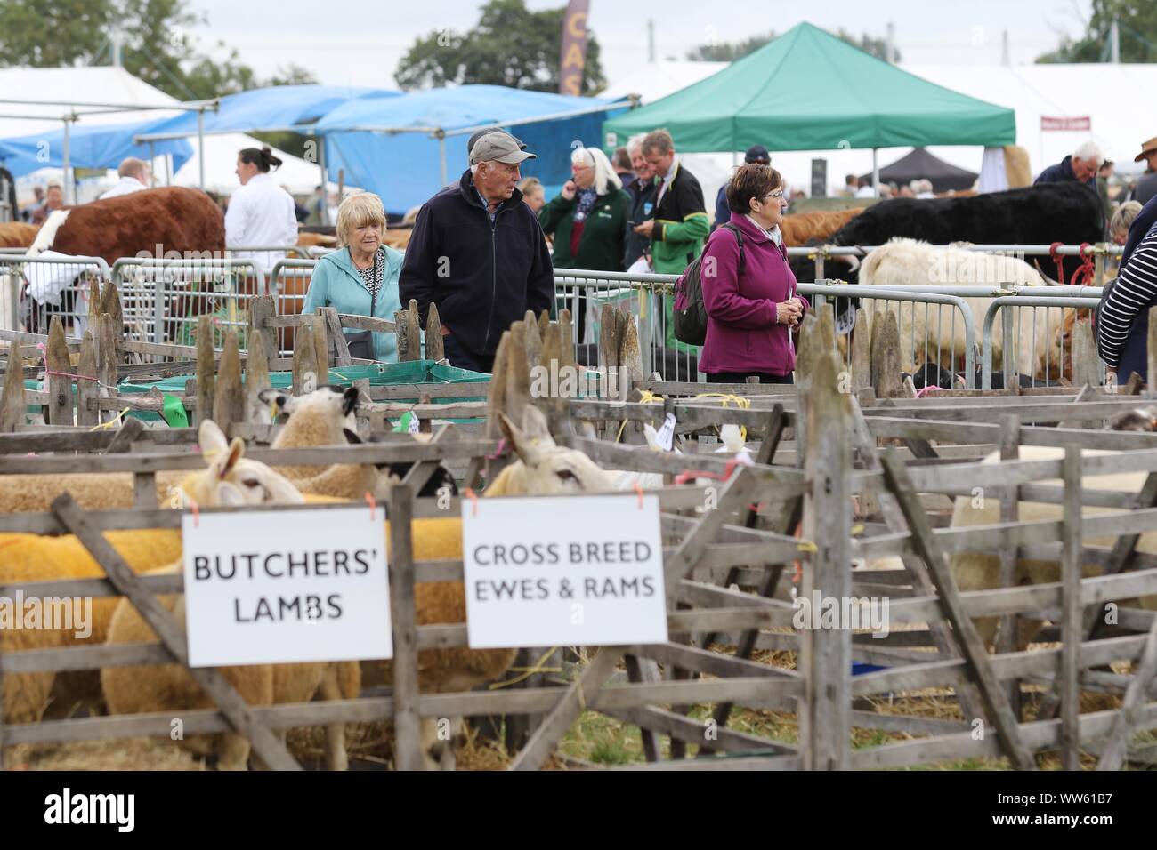 Moreton in marsh show hi-res stock photography and images - Alamy
