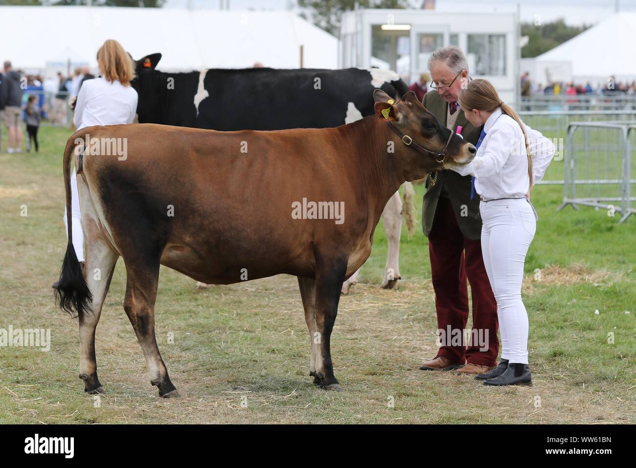 Moreton Country Show Stock Photo - Alamy