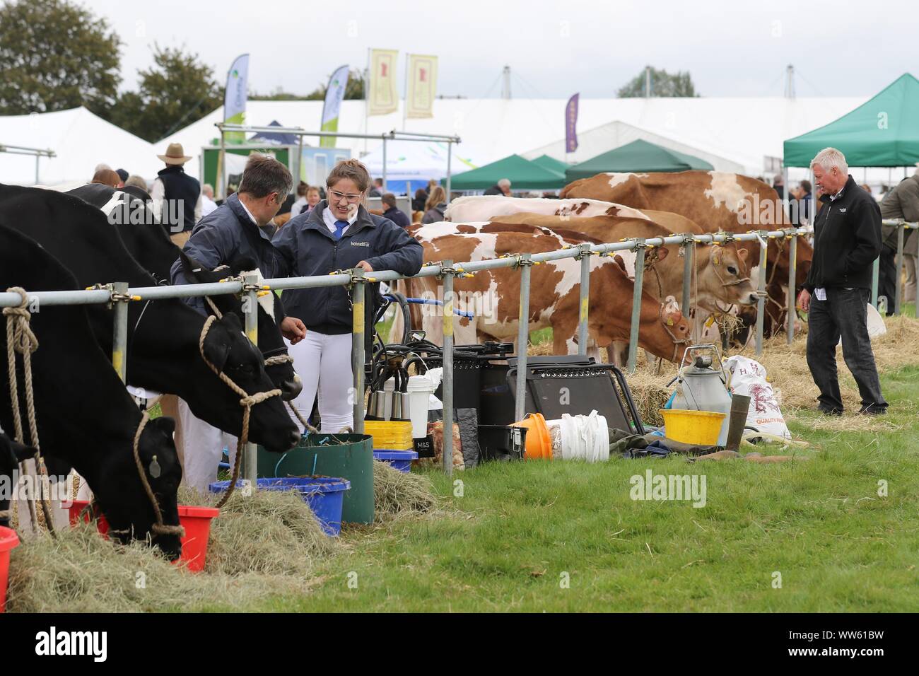 Moreton country show hi-res stock photography and images - Alamy