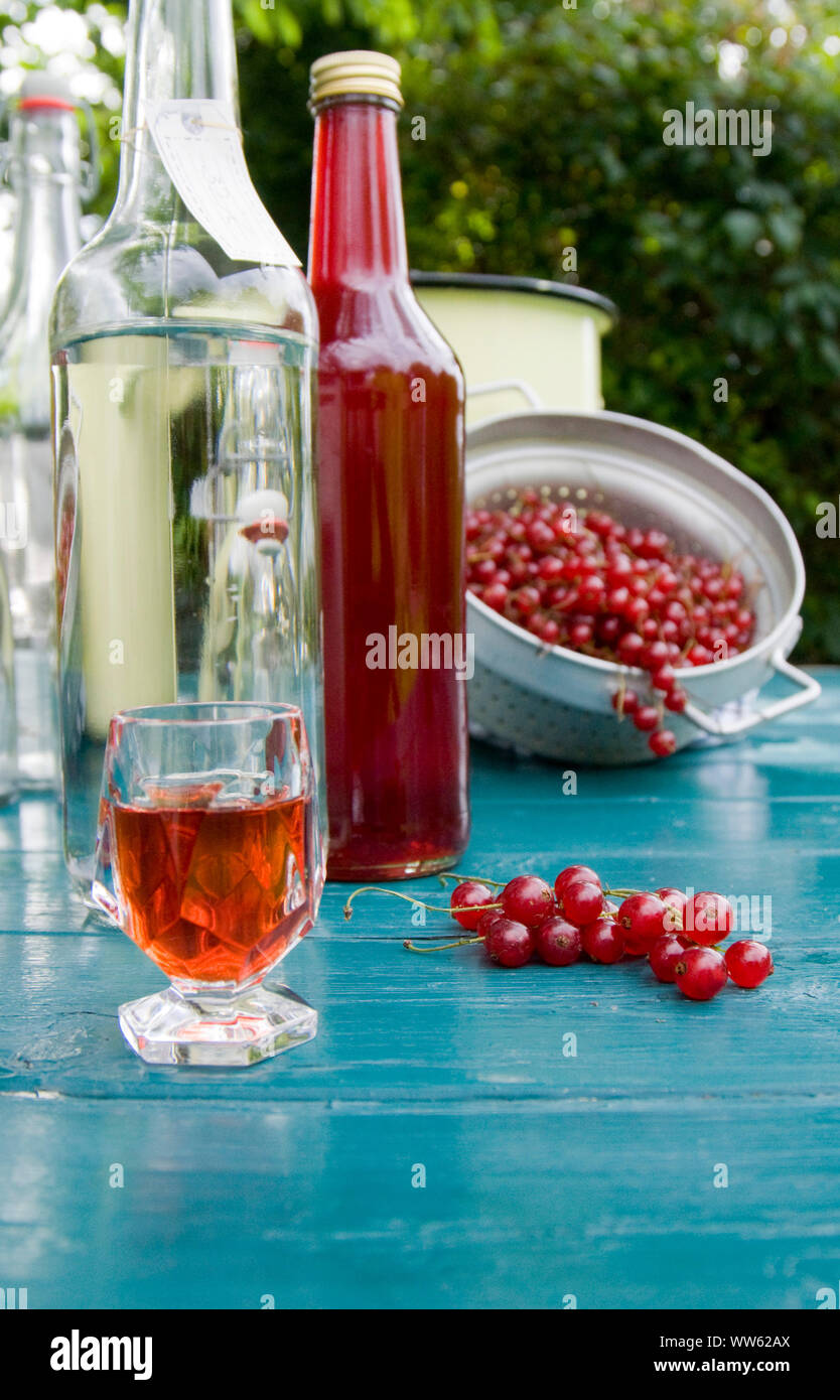 Redcurrant liqueur production hi-res stock photography and images - Alamy