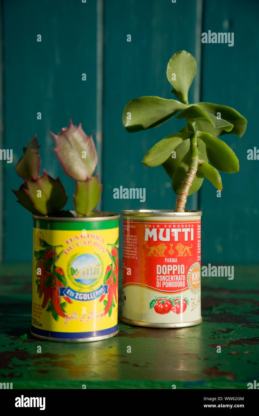 Old tin cans hi-res stock photography and images - Alamy