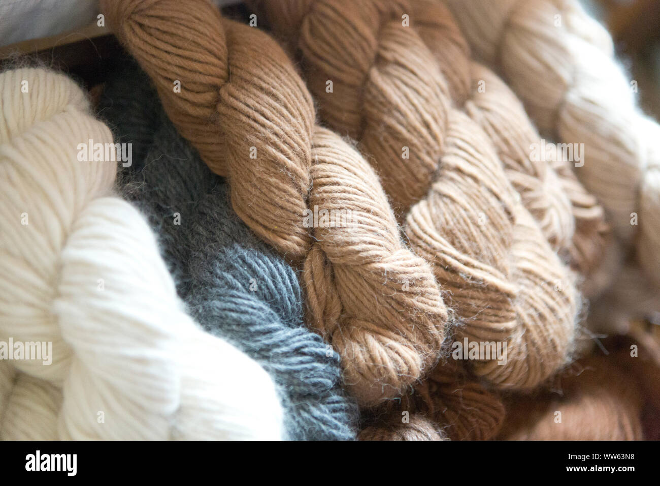 Close up alpaca hi-res stock photography and images - Alamy