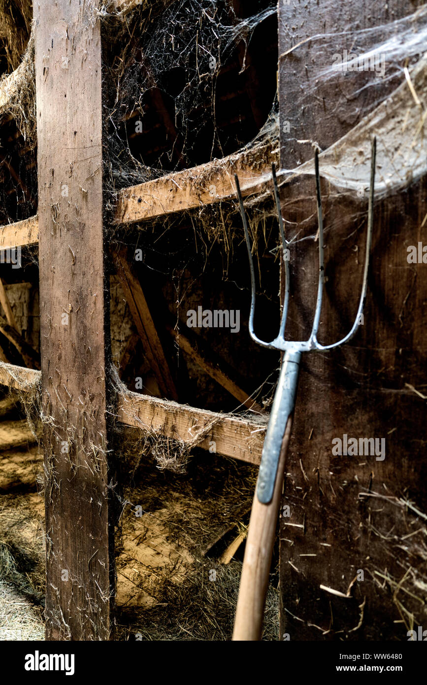 Hayfork leaning against a wall covered with spider webs and hay remains ...