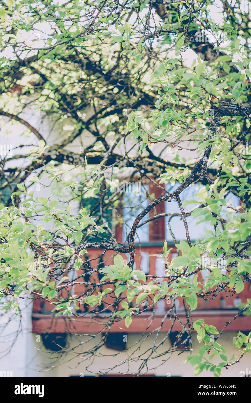 Adorned balcony hi-res stock photography and images - Alamy