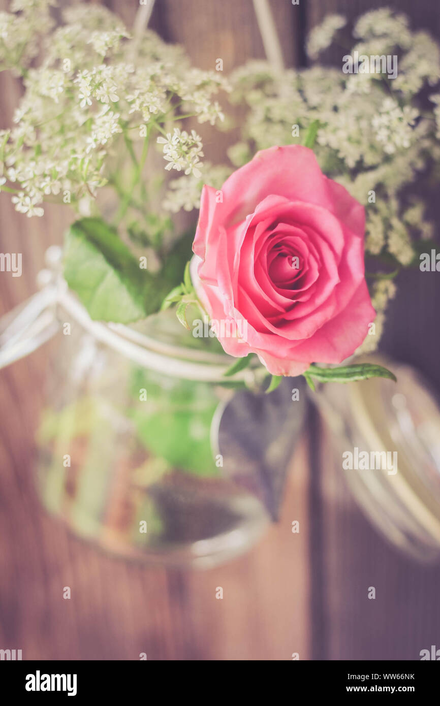 White rose lights hi-res stock photography and images - Alamy