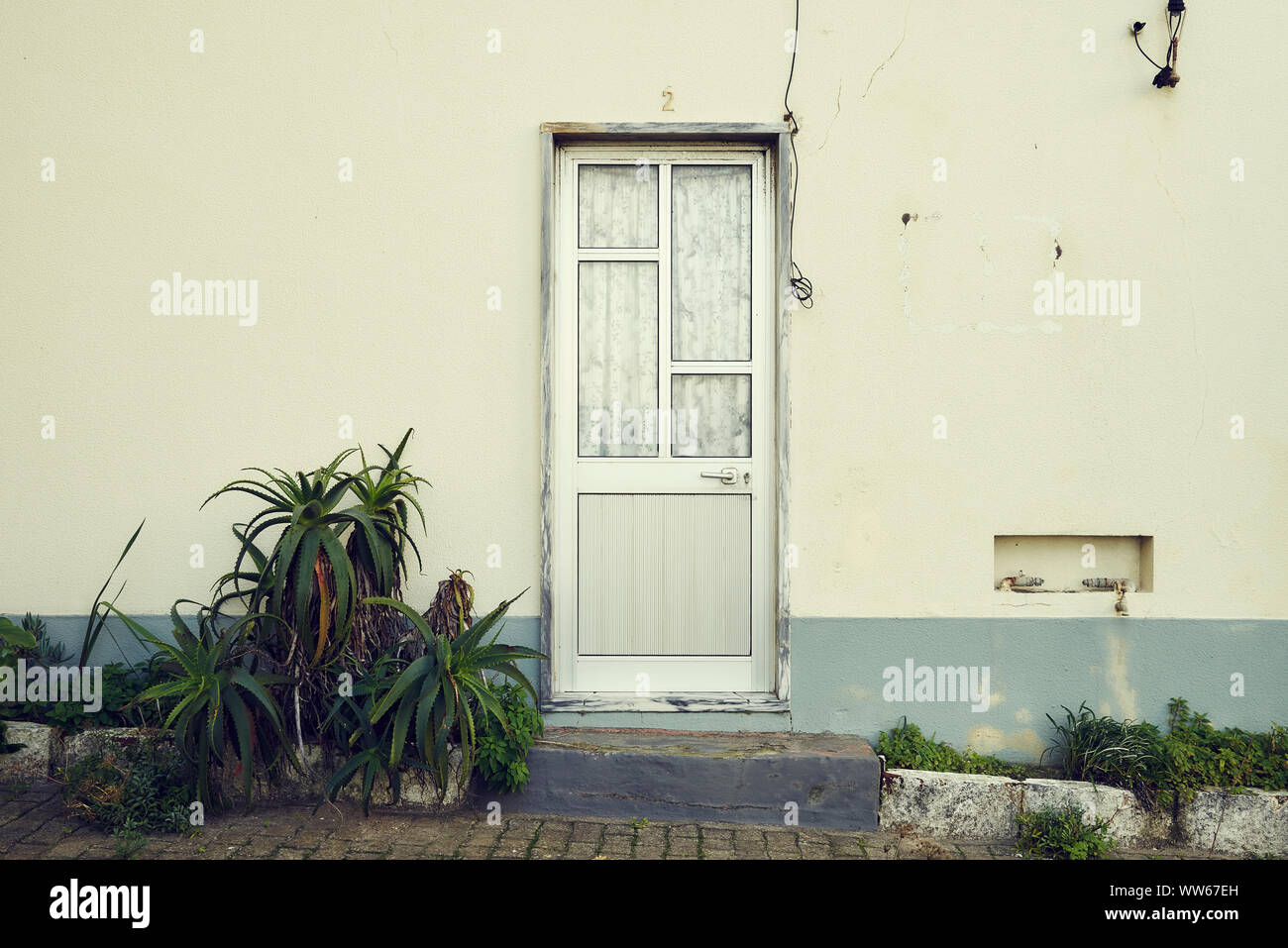 Door of a house, aloe Vera plants and street in front of it Stock Photo ...