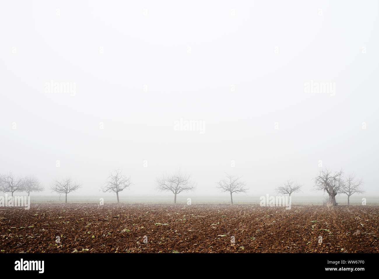 Fog on lakeside hi-res stock photography and images - Alamy
