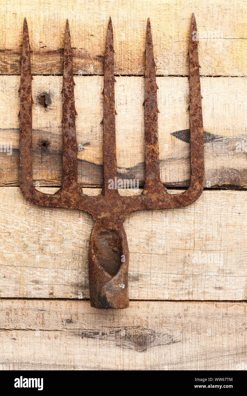 Old rusty pitchfork on wooden ground hi-res stock photography and ...