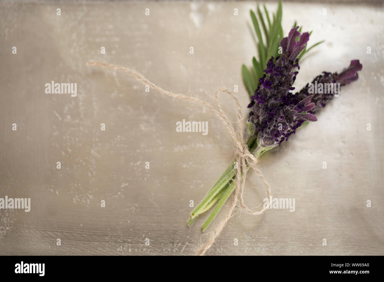 Lavender branches, tied together Stock Photo - Alamy