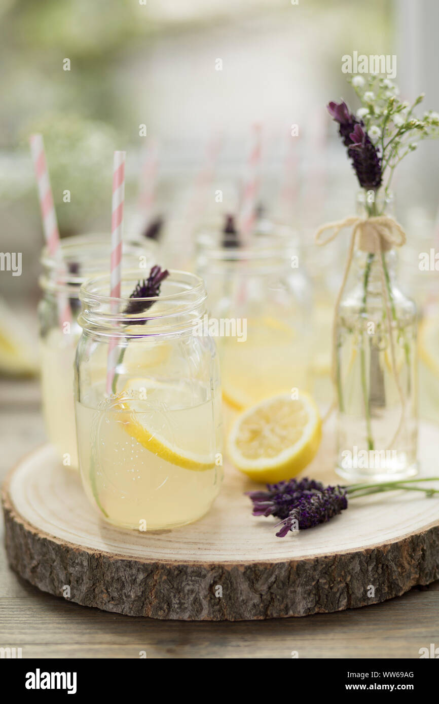 Lemonade tree hi-res stock photography and images - Alamy