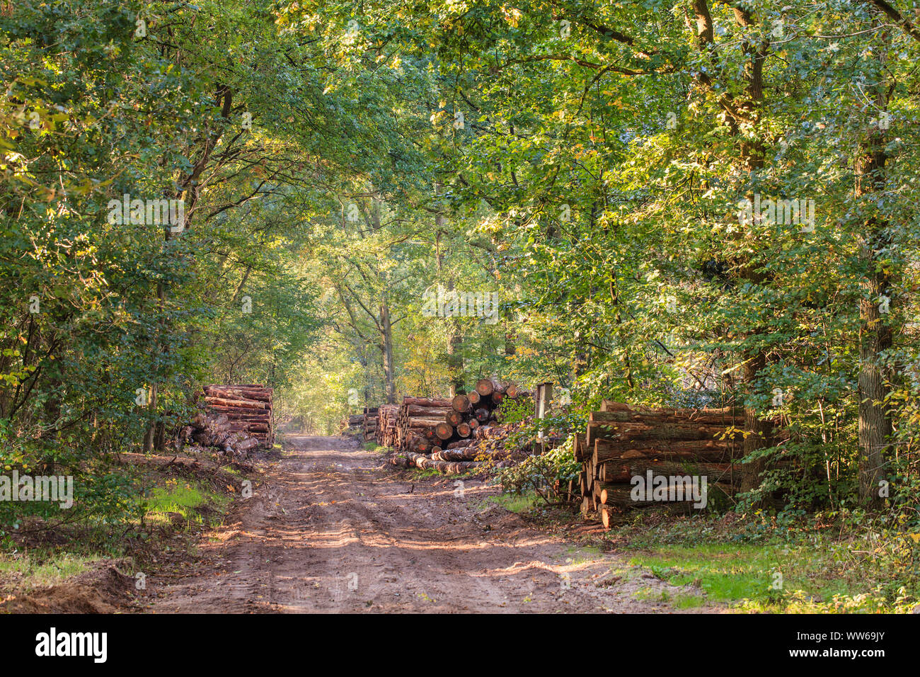 Transverse road hi-res stock photography and images - Alamy