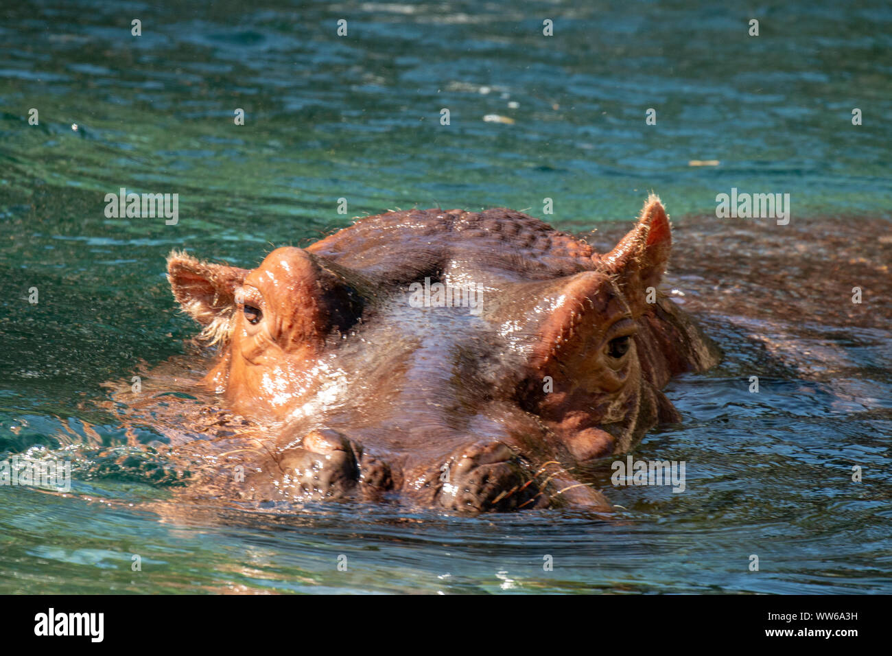 Www Africa Water Scenes