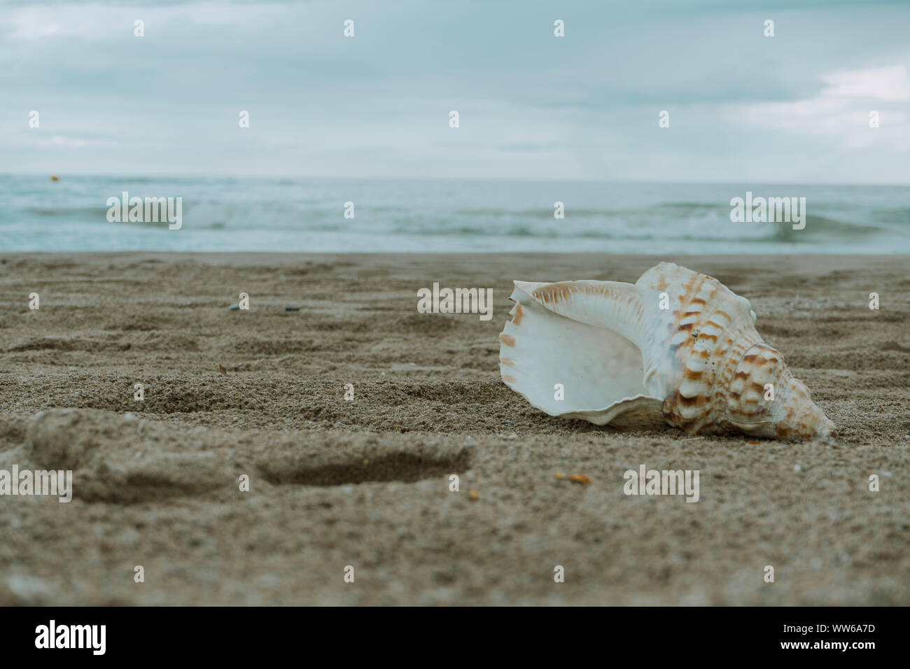 Laying on a caribbean beach hi-res stock photography and images - Alamy