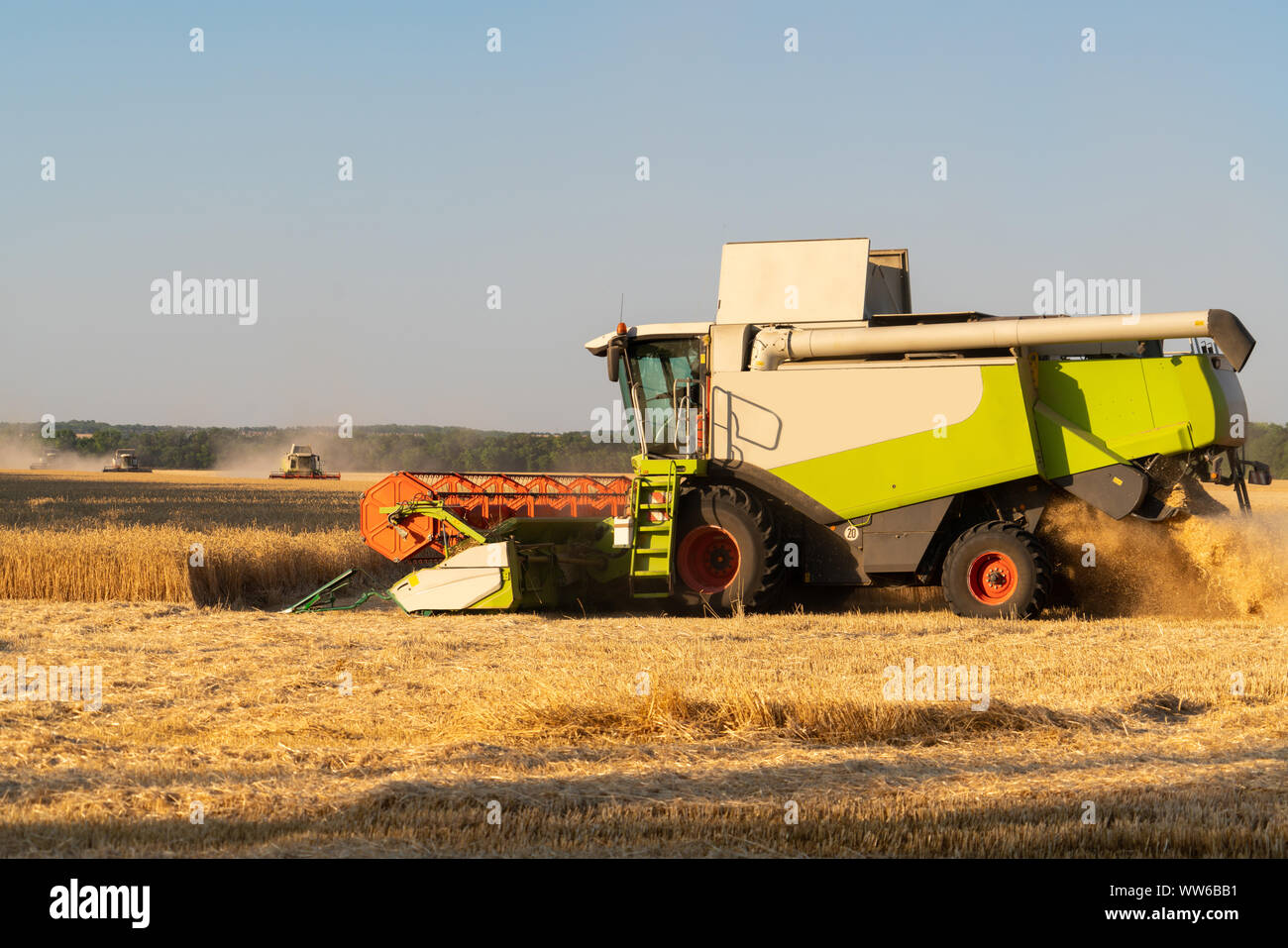 Combine harvester harvests grain in the field Stock Photo - Alamy